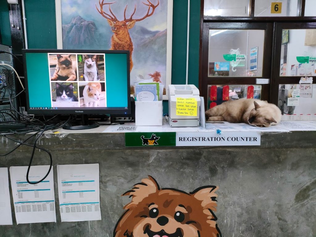 Vet Corner Veterinary Centre | Pet Care in Kuching